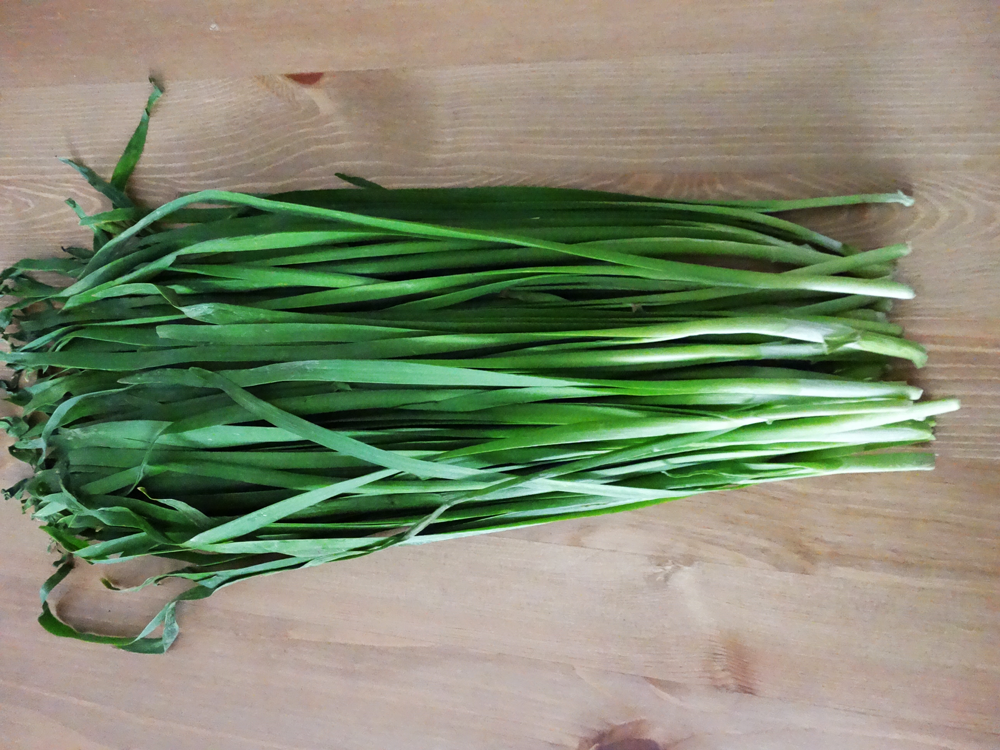 Vegan Sticky Rice – French Touch